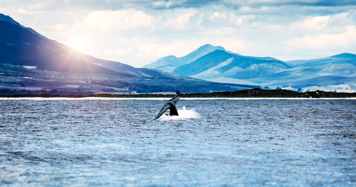 Best Places for a Long Weekend in South Africa